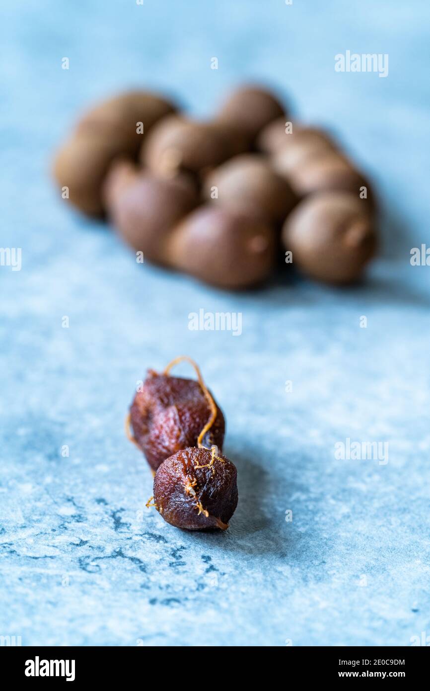 Pile of Ripe Sweet Tamarind Fruits with Shell. Ready to Eat Stock Photo ...