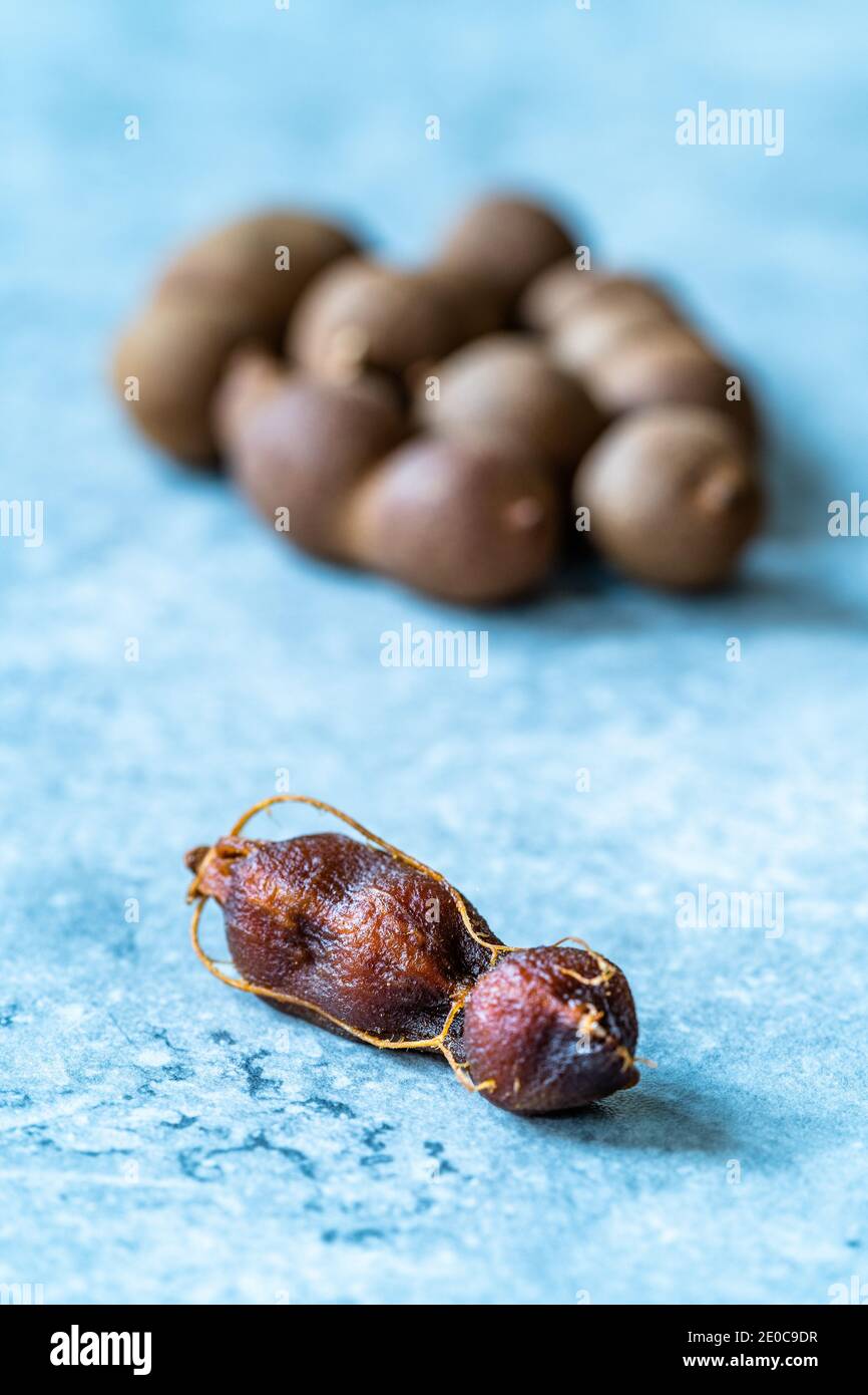 Pile of Ripe Sweet Tamarind Fruits with Shell. Ready to Eat Stock Photo ...