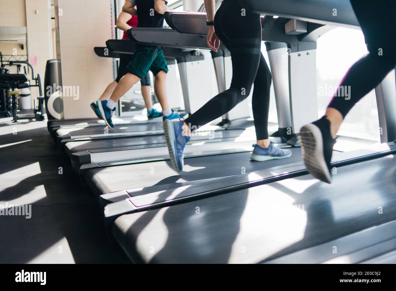 Group of people running on a treadmill. Cardio training for weight loss ...