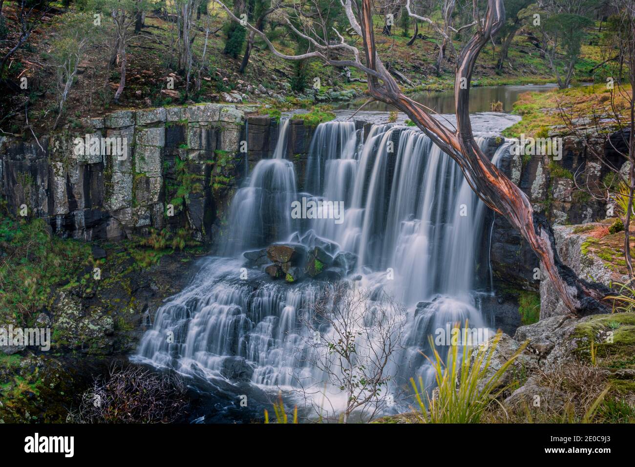 Ebor hi-res stock photography and images - Alamy