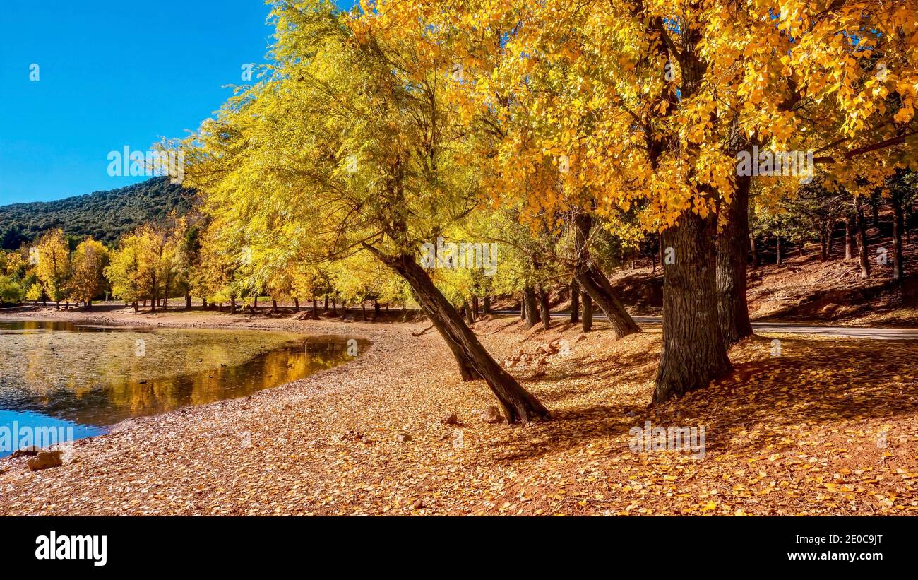 Morocco ifrane national park lake hi-res stock photography and images ...