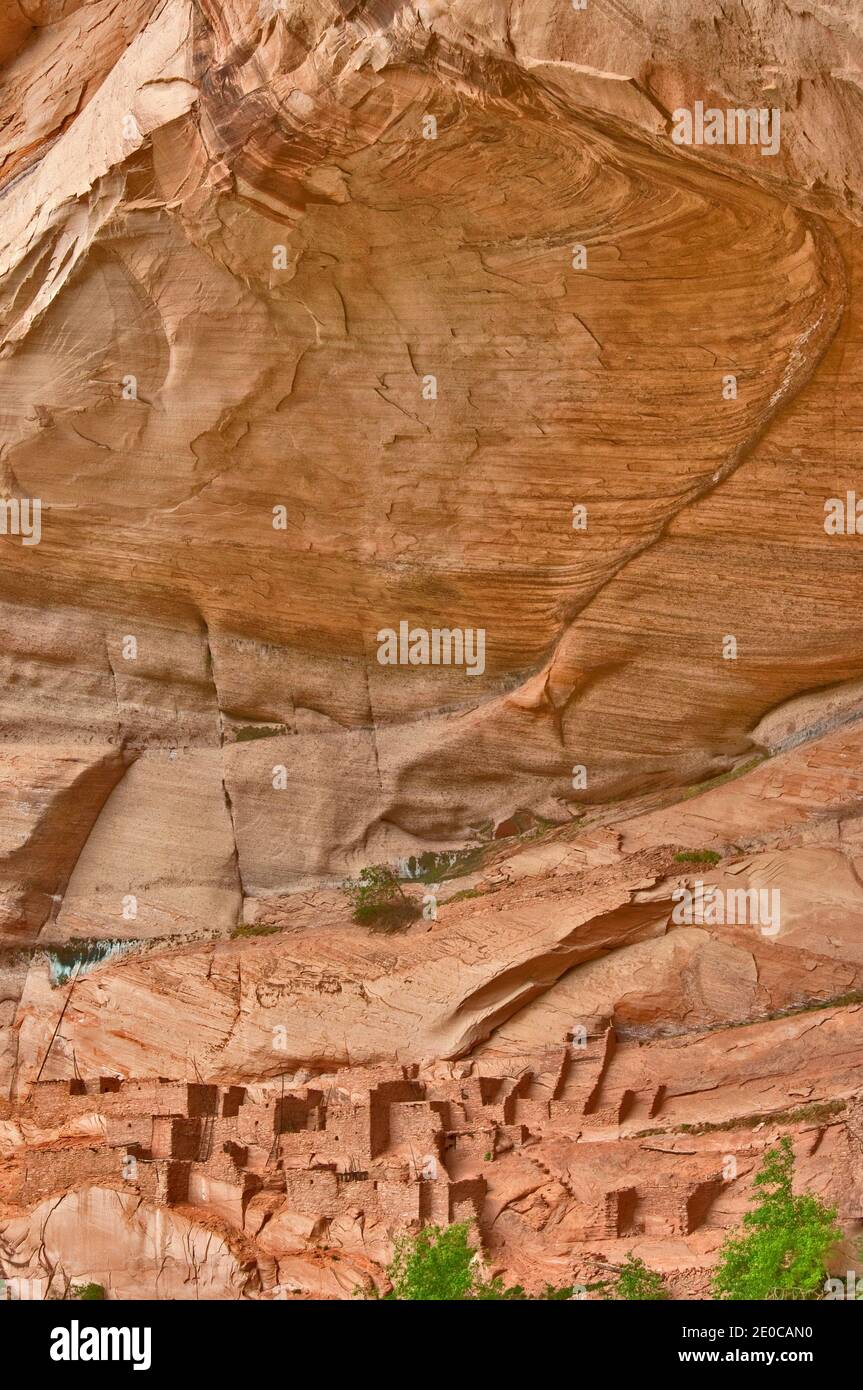 Betatakin ruin in Tsegi Canyon, Navajo National Monument, Shonto ...