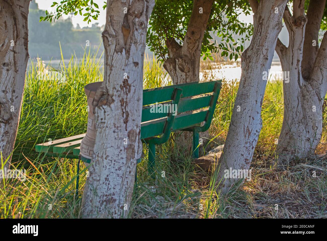 Landscape scene in rural countryside of wooden park bench in trees by ...