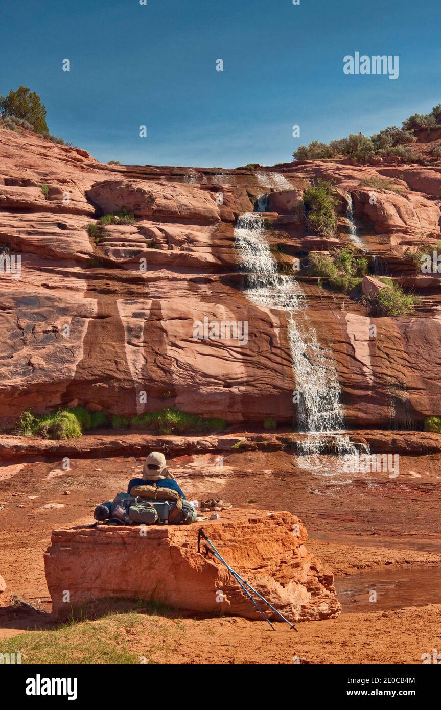Hiker resting at waterfall, Keet Seel Canyon in Skeleton Mesa, on trail ...