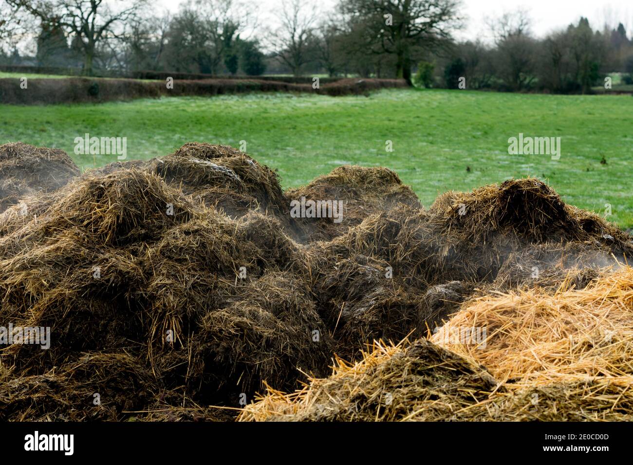 Farmyard manure hi-res stock photography and images - Alamy