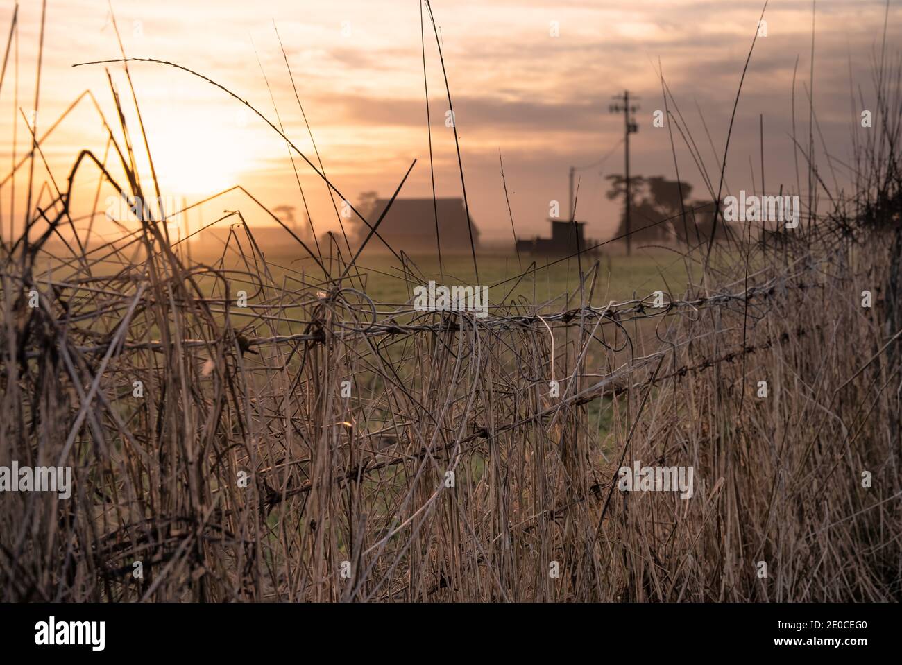Rural country ranch scenic california hi-res stock photography and ...