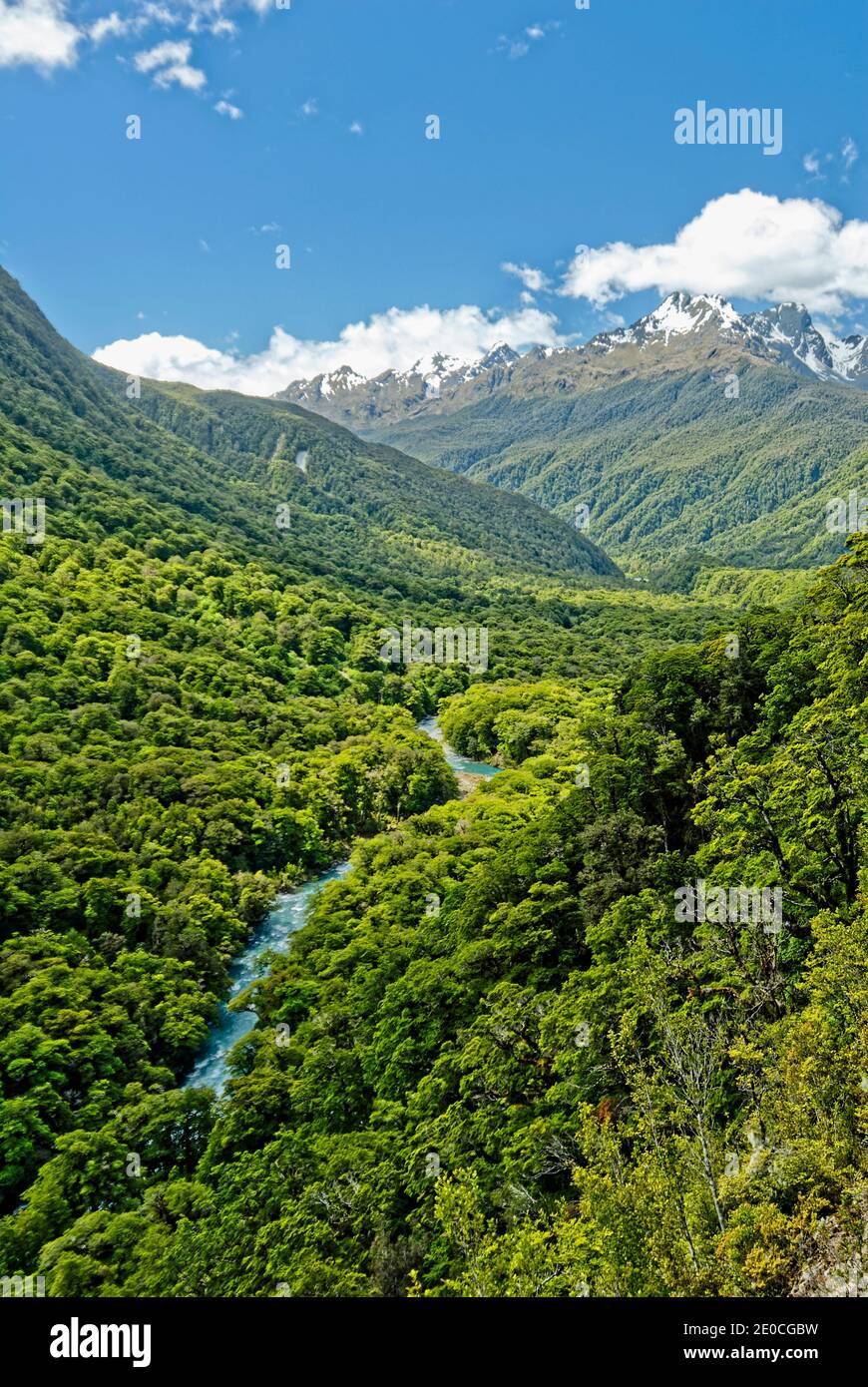 Temperate rain forrest hi-res stock photography and images - Alamy