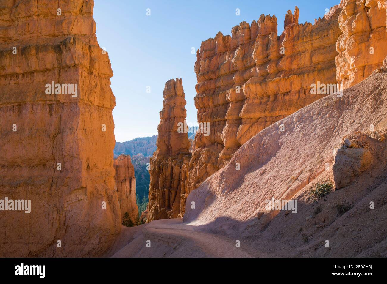 High cliffs towering above the Navajo Loop Trail below Sunset Point ...