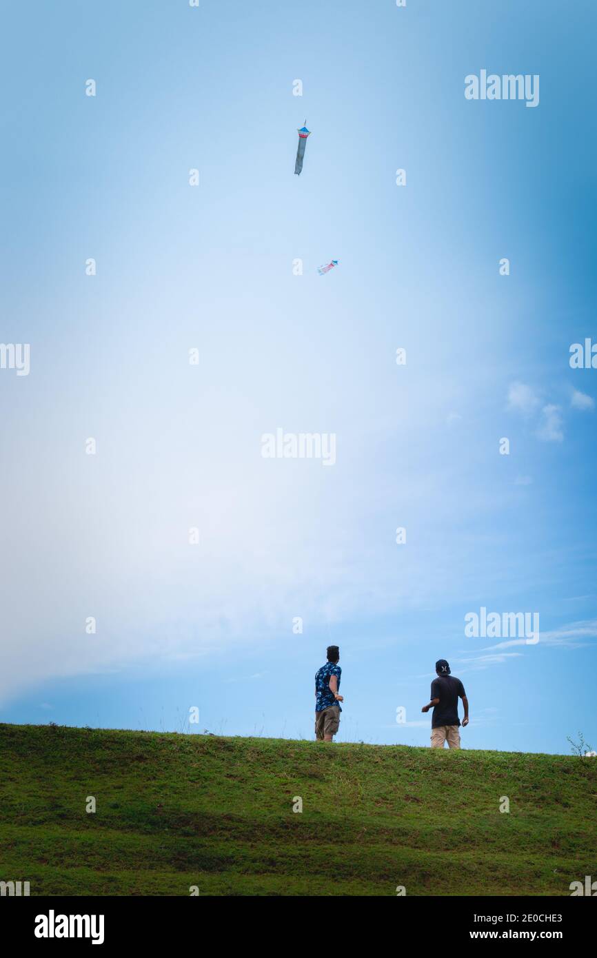 Children flying kites grass hi-res stock photography and images - Alamy