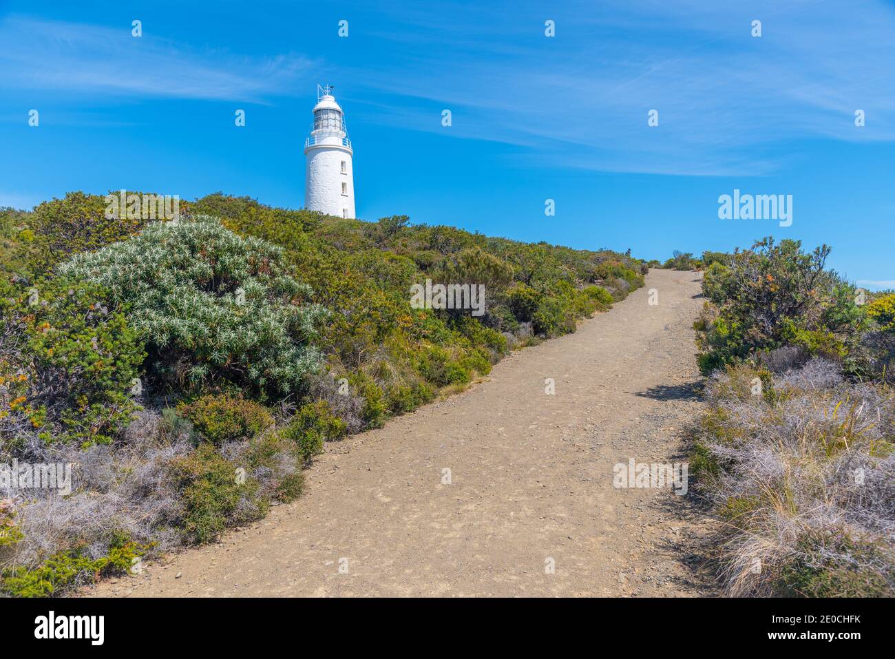 Tasmania cape barren island hi-res stock photography and images - Alamy