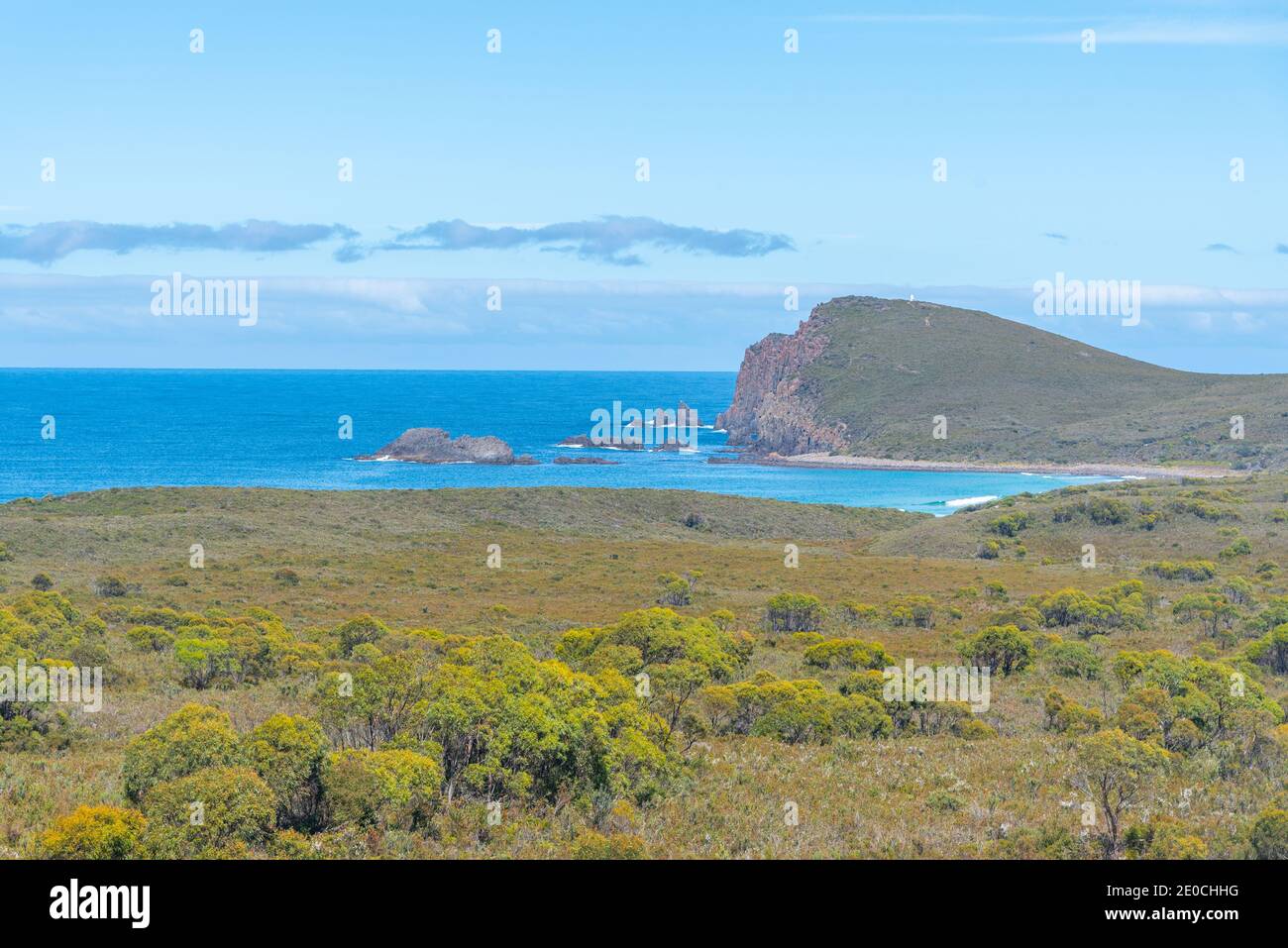 Tasmania cape barren island hi-res stock photography and images - Alamy