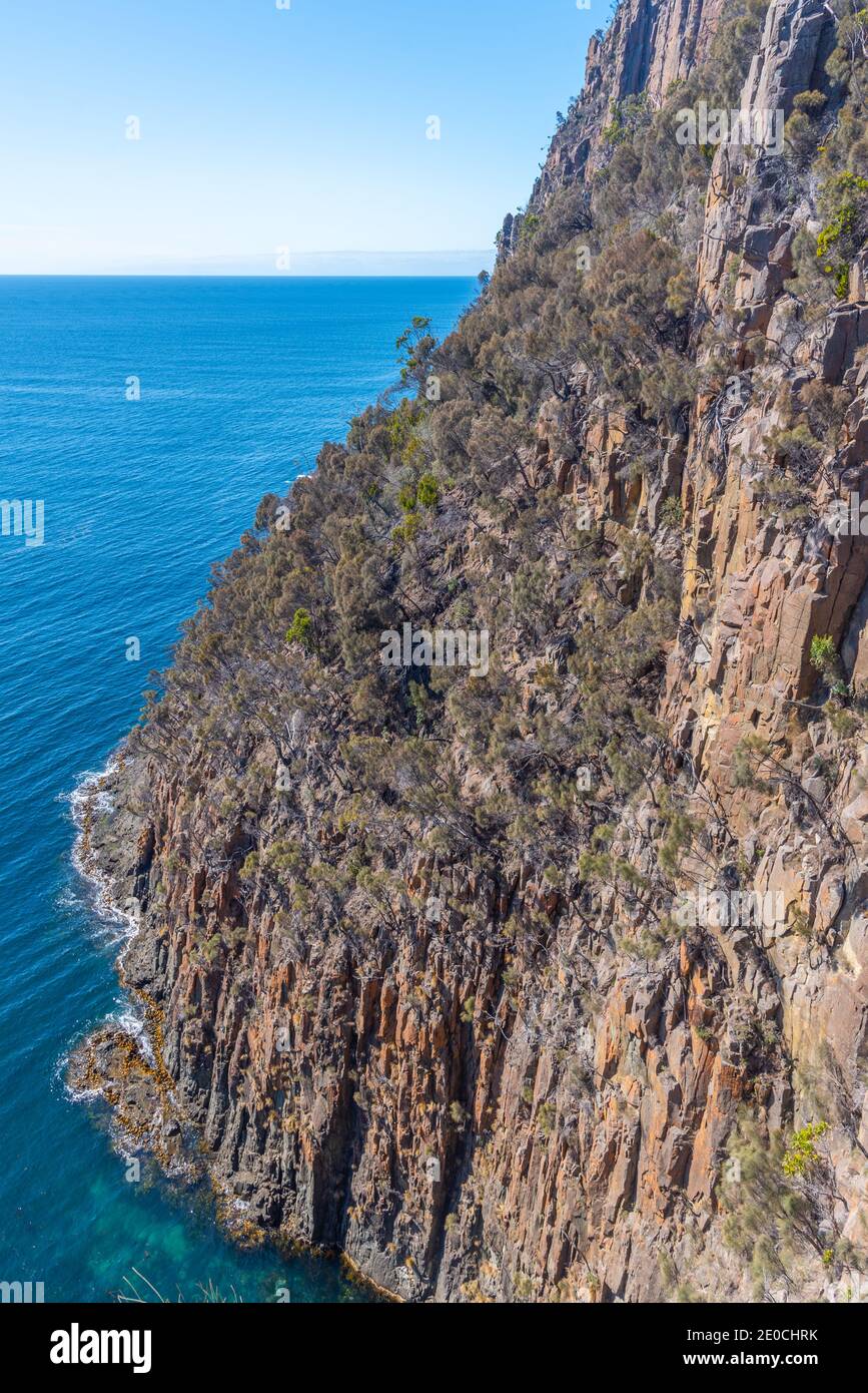 Cliffs of Fluted Cape at Bruny island in Tasmania, Australia Stock ...