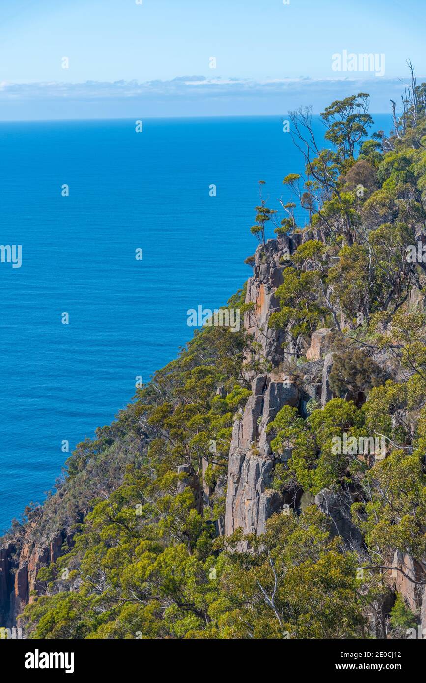 Cliffs of Fluted Cape at Bruny island in Tasmania, Australia Stock ...