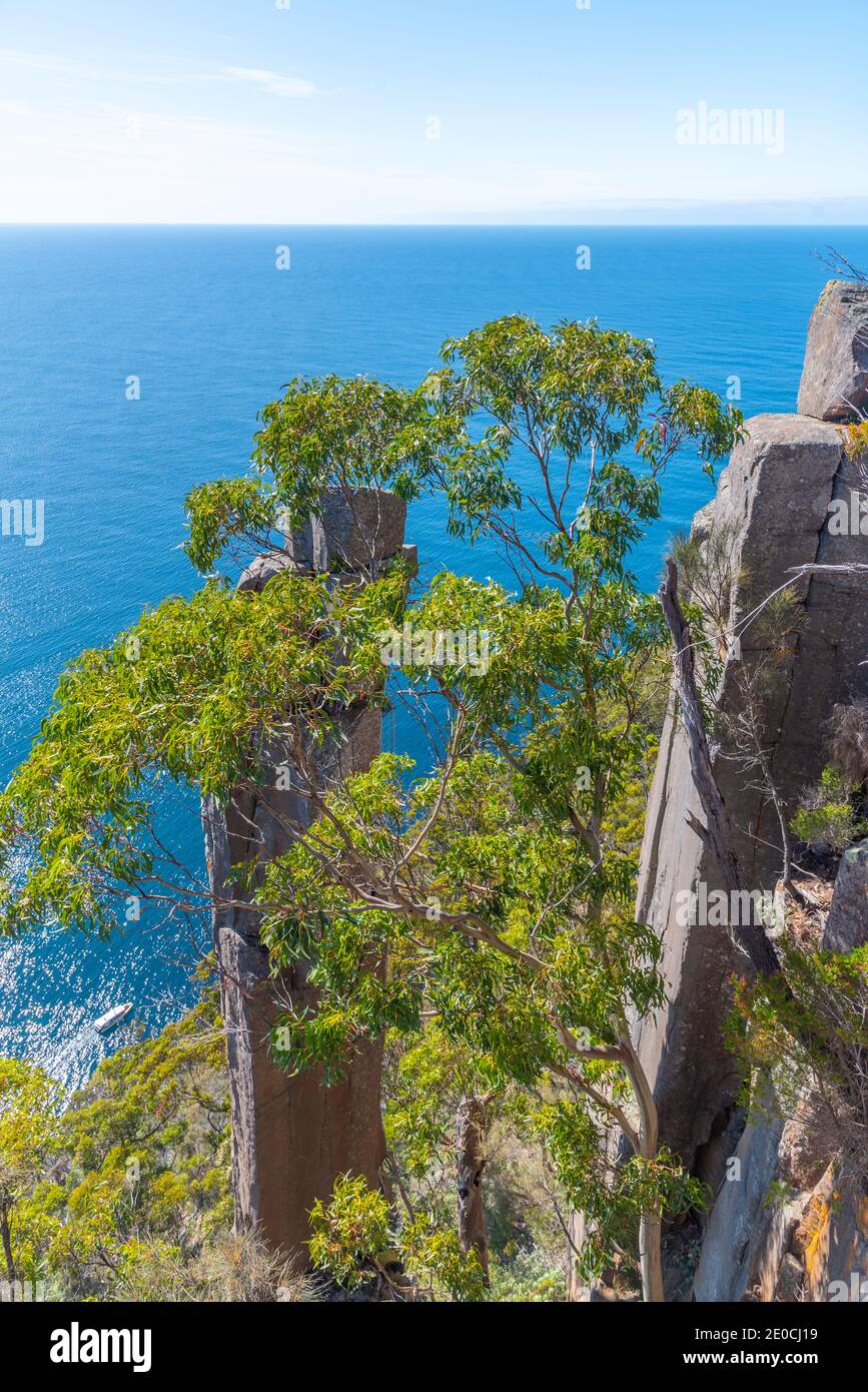 Cliffs of Fluted Cape at Bruny island in Tasmania, Australia Stock ...