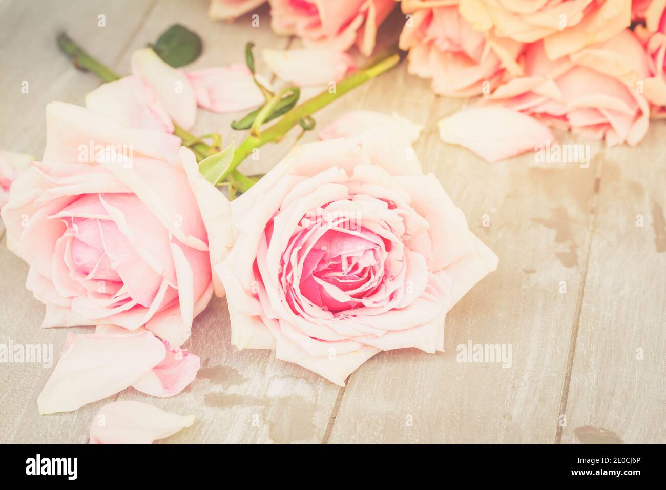 pink roses on table Stock Photo - Alamy