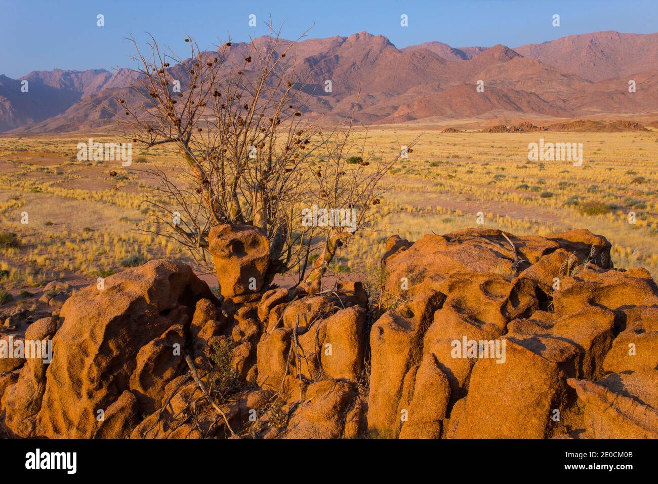 Montañas Branberg, Desierto del Namib, Namibia, Africa Stock Photo - Alamy