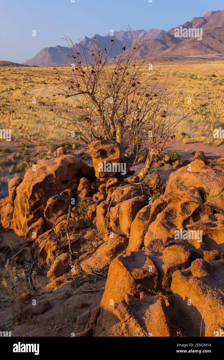 Montañas Branberg, Desierto del Namib, Namibia, Africa Stock Photo - Alamy
