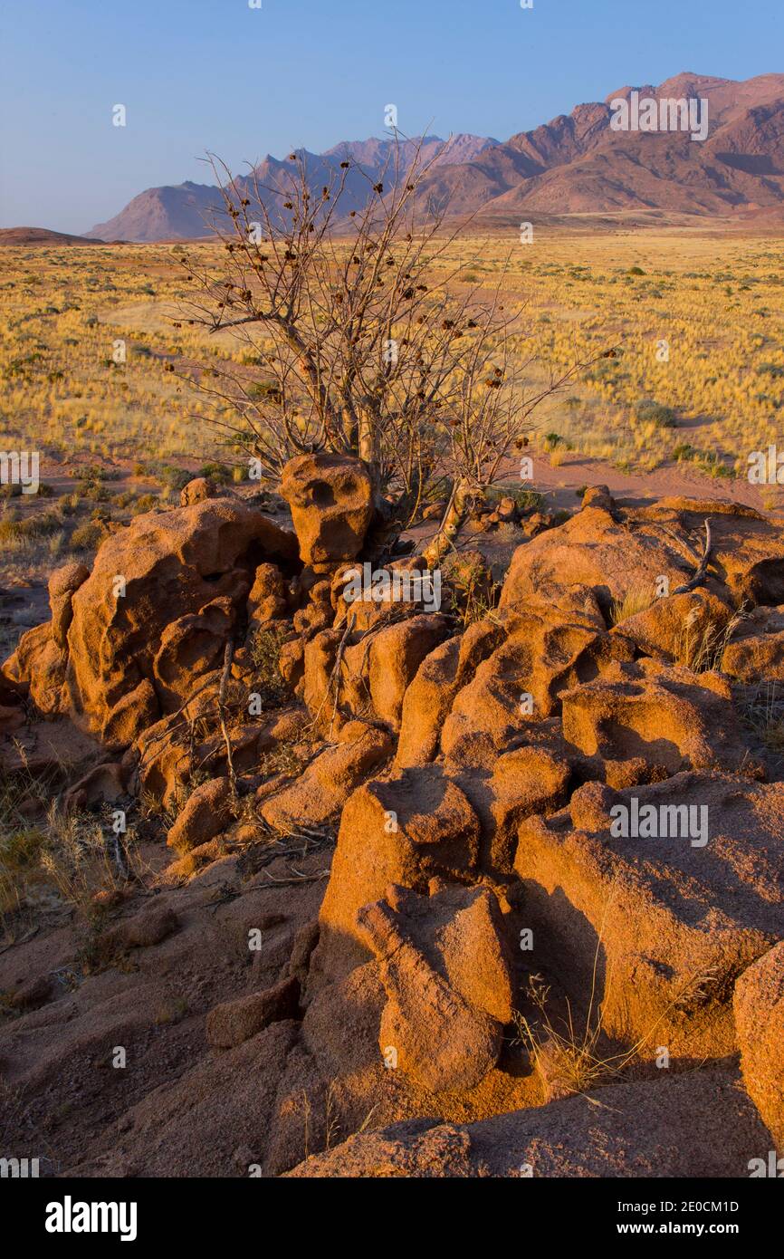 Montañas Branberg, Desierto del Namib, Namibia, Africa Stock Photo - Alamy
