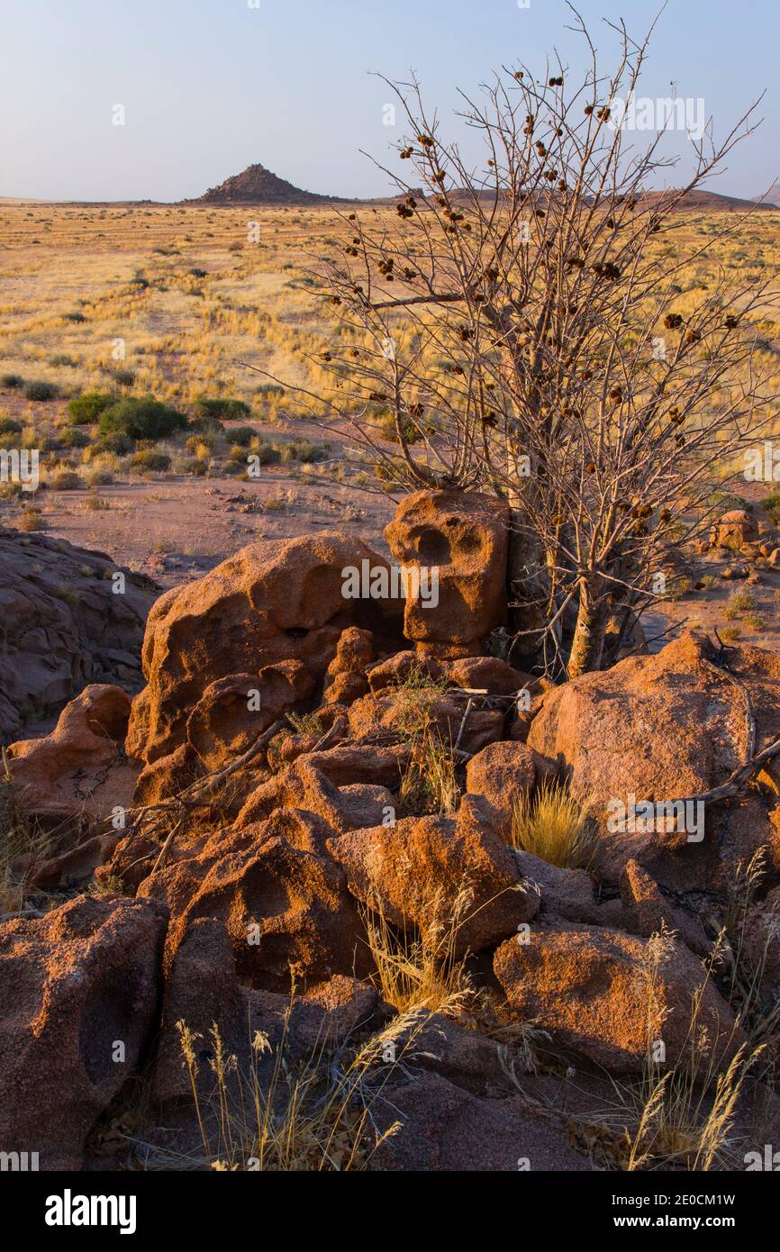 Montañas Branberg, Desierto del Namib, Namibia, Africa Stock Photo - Alamy