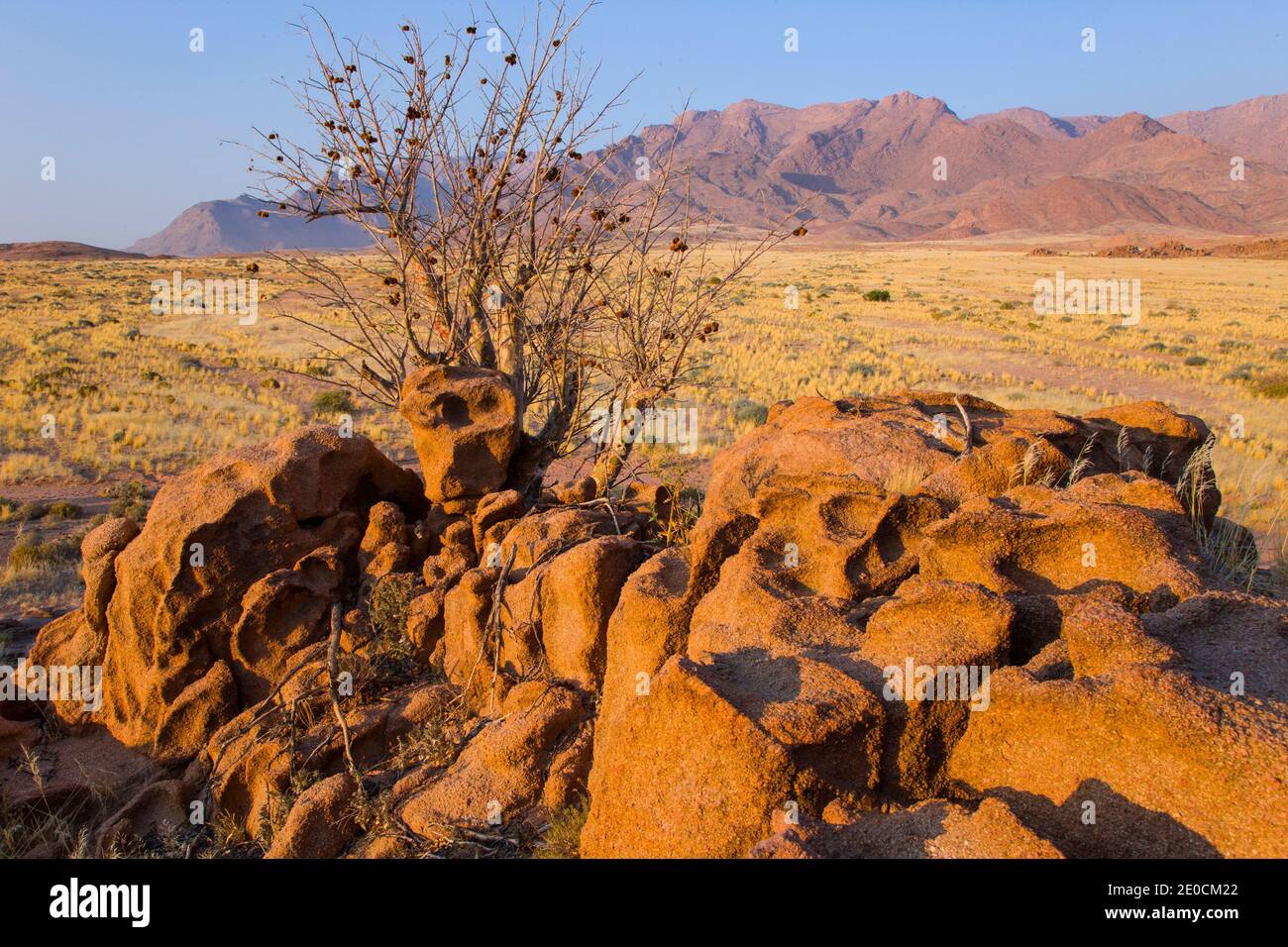 Montañas Branberg, Desierto del Namib, Namibia, Africa Stock Photo - Alamy
