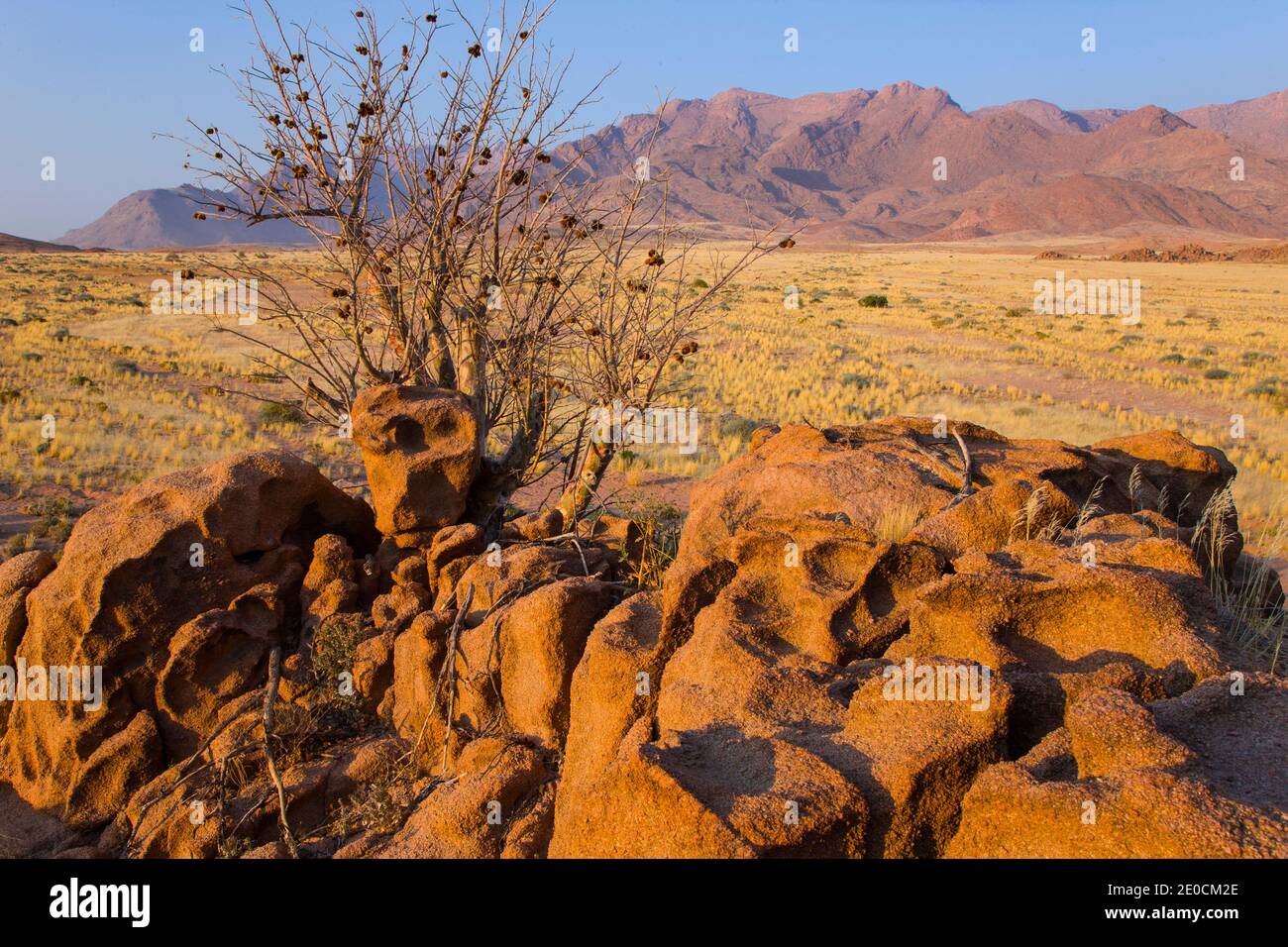 Montañas Branberg, Desierto del Namib, Namibia, Africa Stock Photo - Alamy