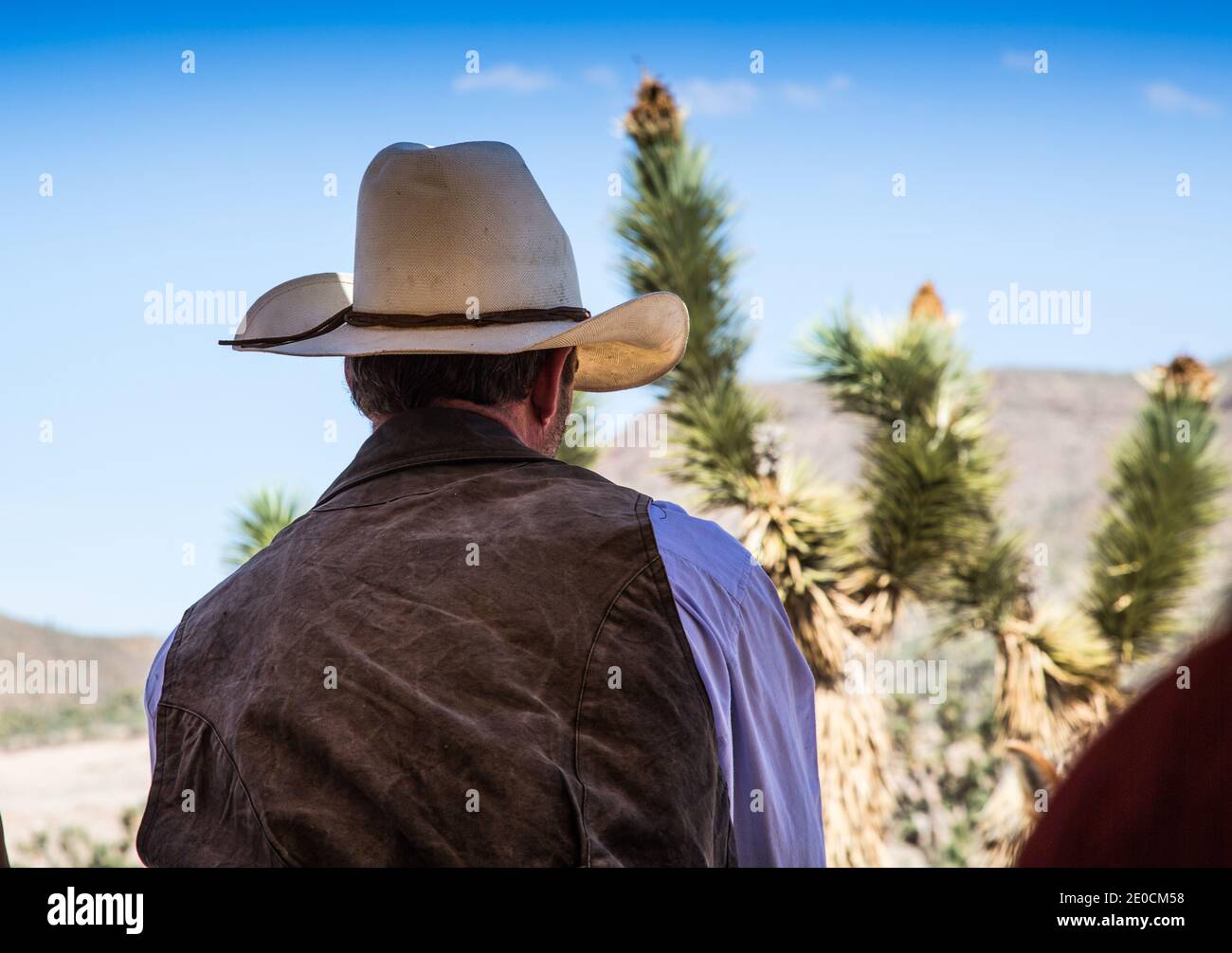 Cowboy driving wagon, Nevada, USA Stock Photo - Alamy