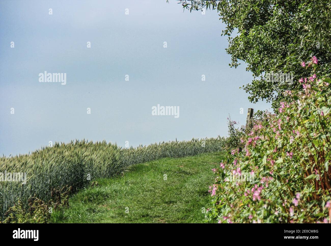 Grassy path on a hillside in the English countryside in Lancashire ...