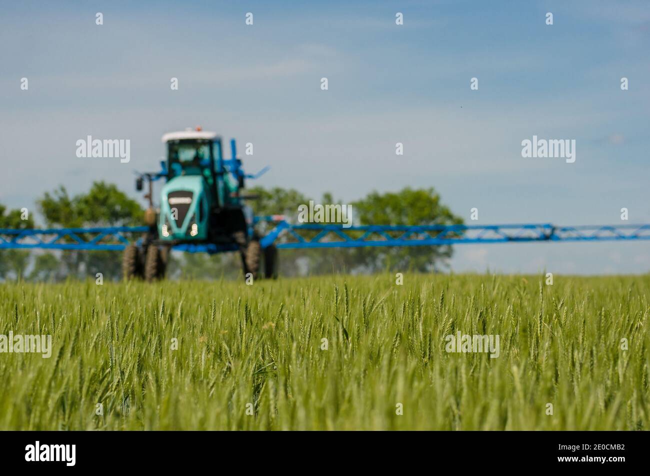 Agricultural sprayers, spray chemicals on young wheat. spraying ...