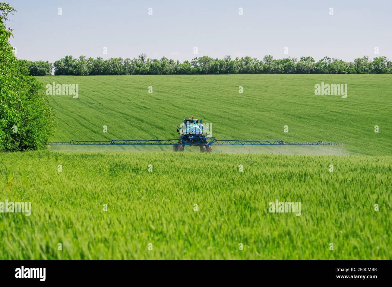 Agricultural sprayers, spray chemicals on young wheat. spraying ...
