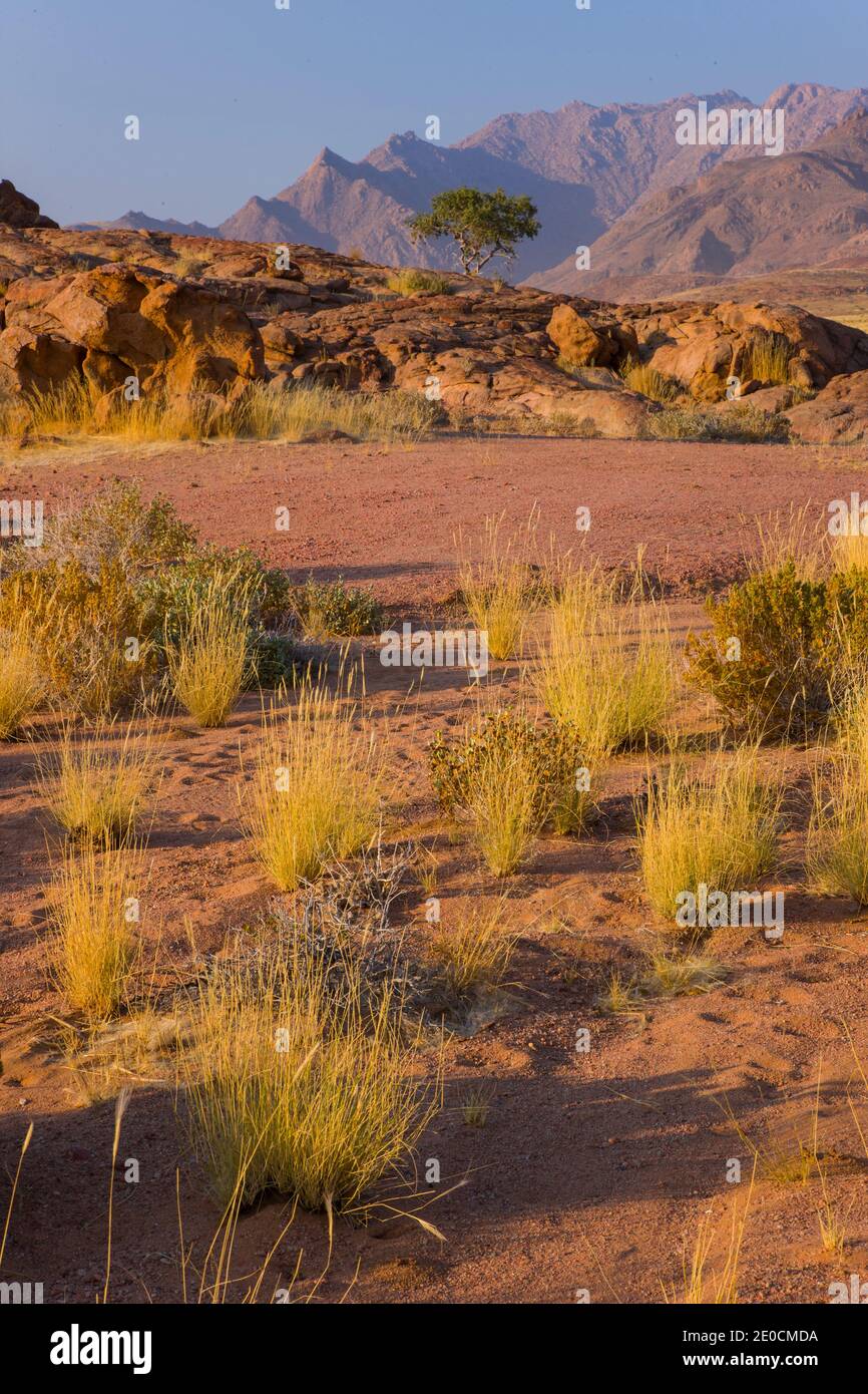 Montañas Branberg, Desierto del Namib, Namibia, Africa Stock Photo - Alamy
