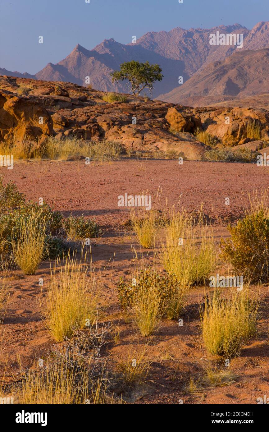 Montañas Branberg, Desierto del Namib, Namibia, Africa Stock Photo - Alamy
