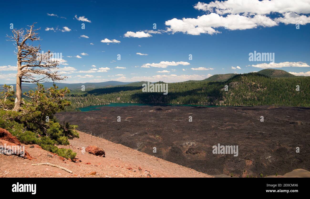 Restart tourism hi-res stock photography and images - Alamy