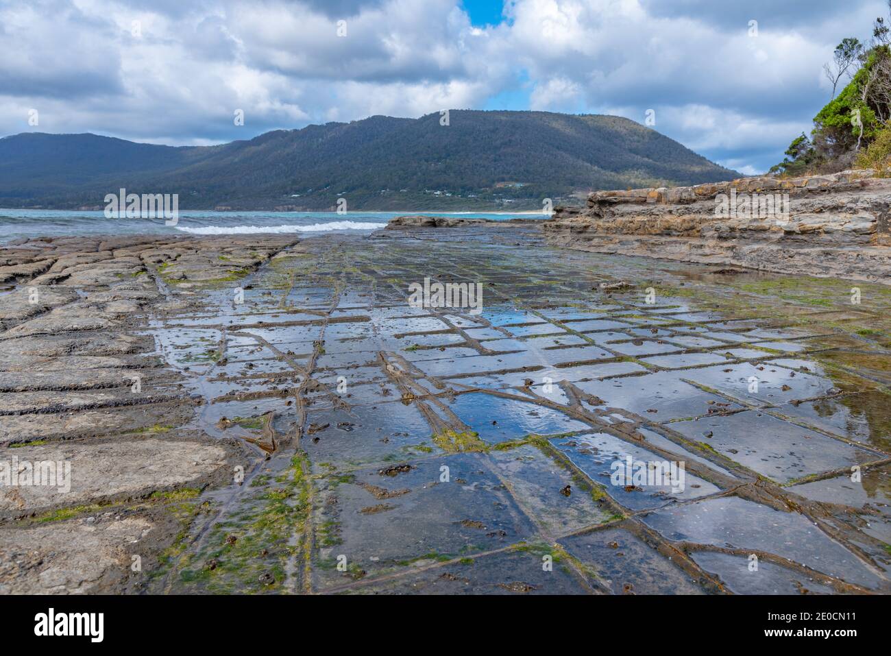 Tessellated rock pattern hi-res stock photography and images - Alamy