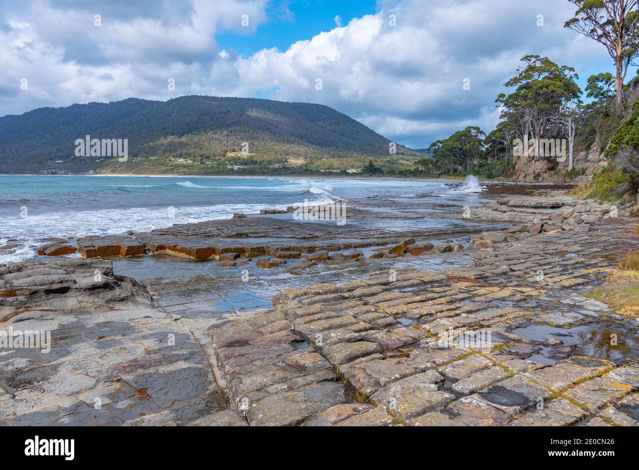 Tessellated rock pavement in hi-res stock photography and images - Alamy