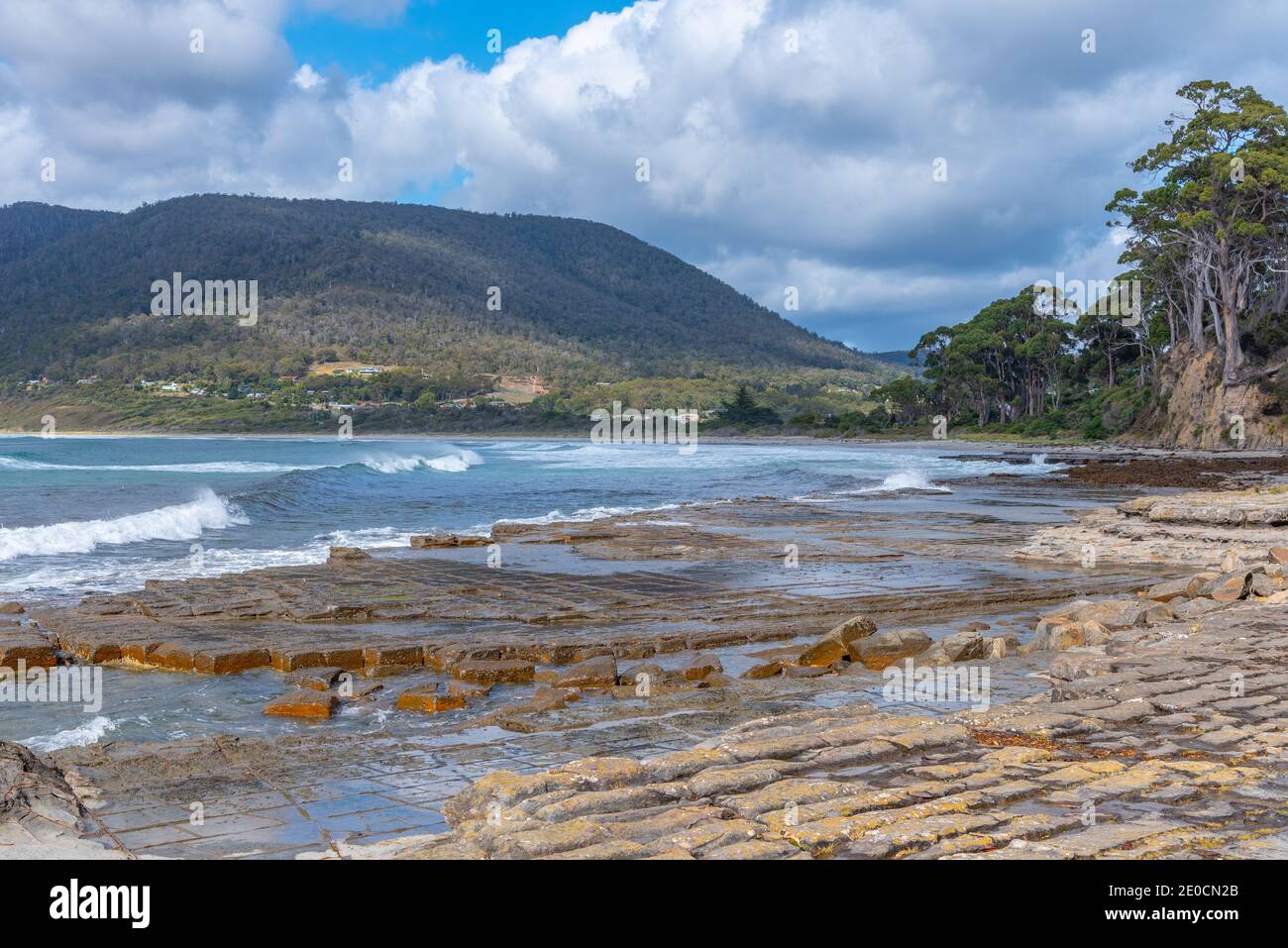 Tessellated Pavement in Tasmania, Australia Stock Photo - Alamy