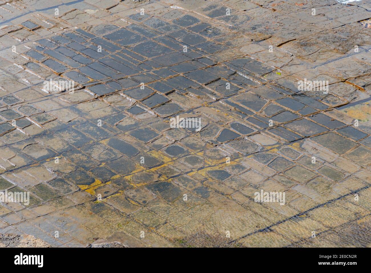 Tessellated Pavement in Tasmania, Australia Stock Photo - Alamy
