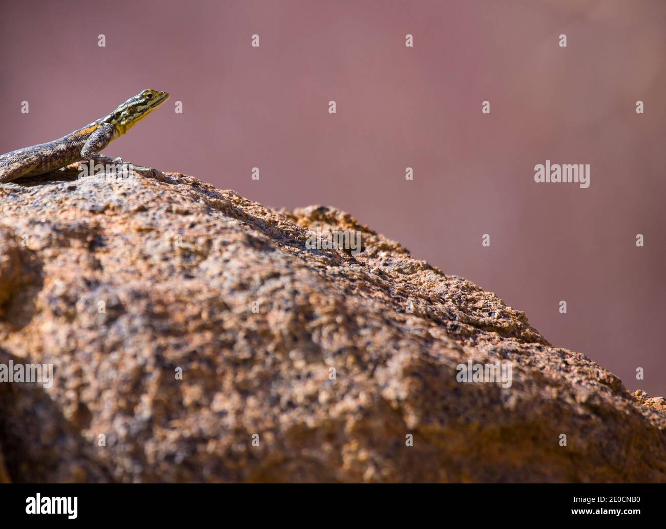 Montañas Branberg, Desierto del Namib, Namibia, Africa Stock Photo - Alamy