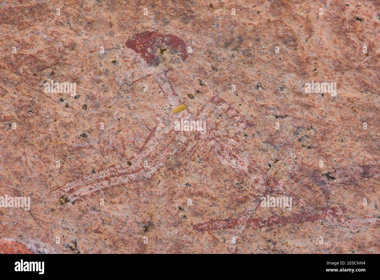 Pinturas rupestres en las Montañas Branberg, Desierto del Namib ...