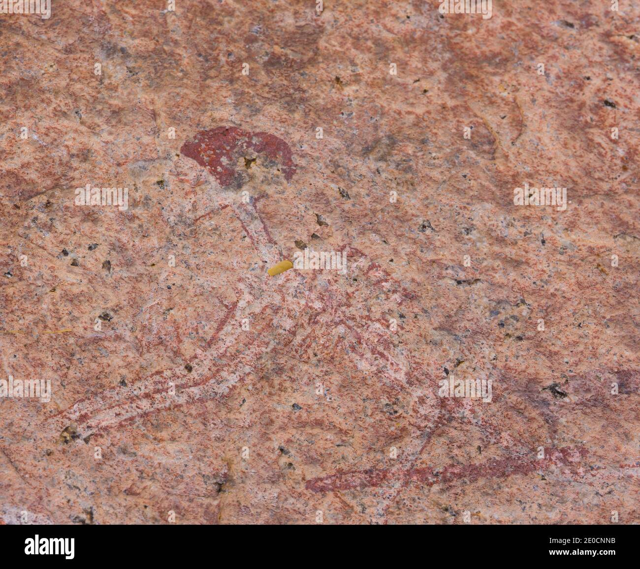 Pinturas rupestres en las Montañas Branberg, Desierto del Namib ...
