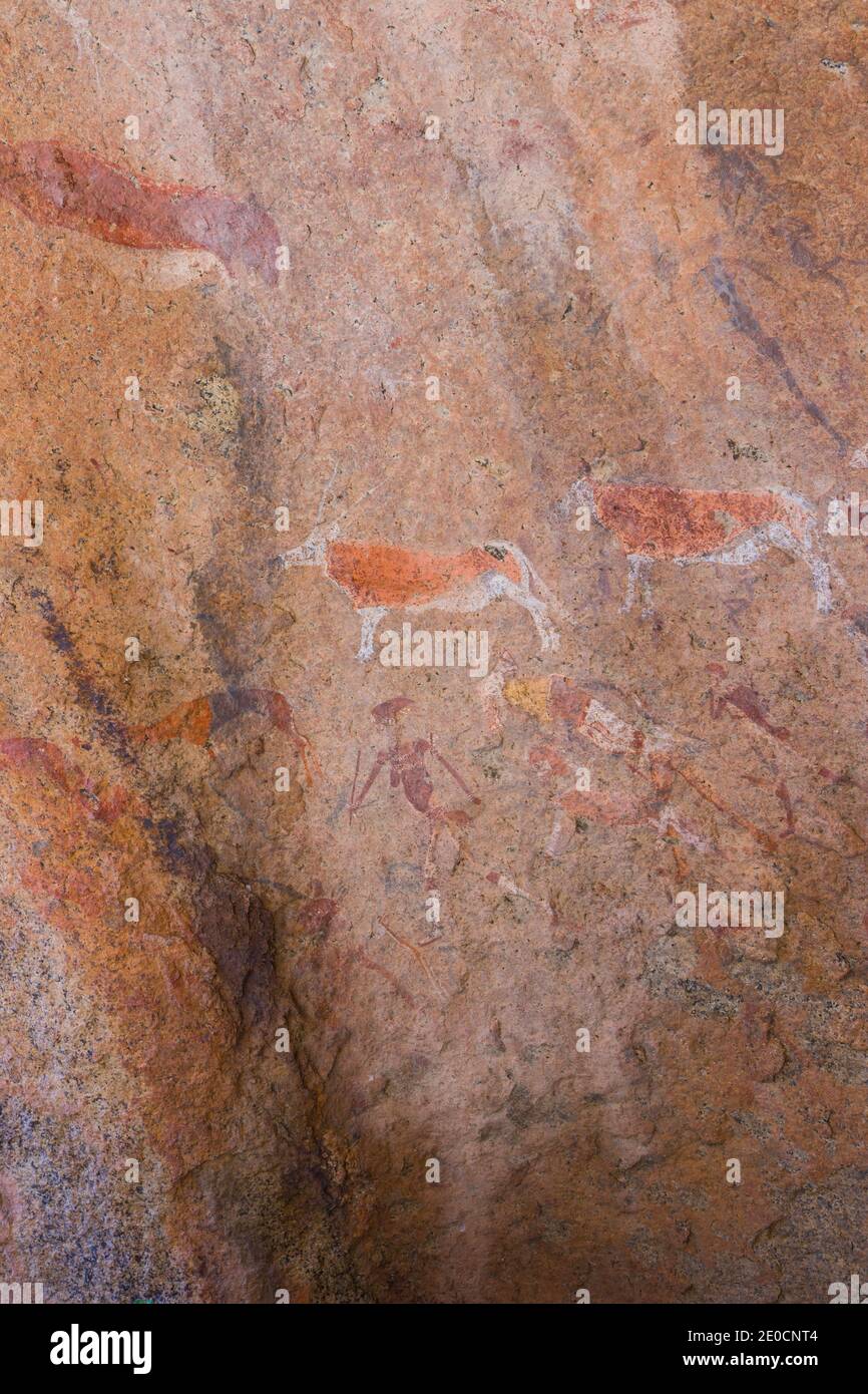 Pinturas rupestres en las Montañas Branberg, Desierto del Namib ...