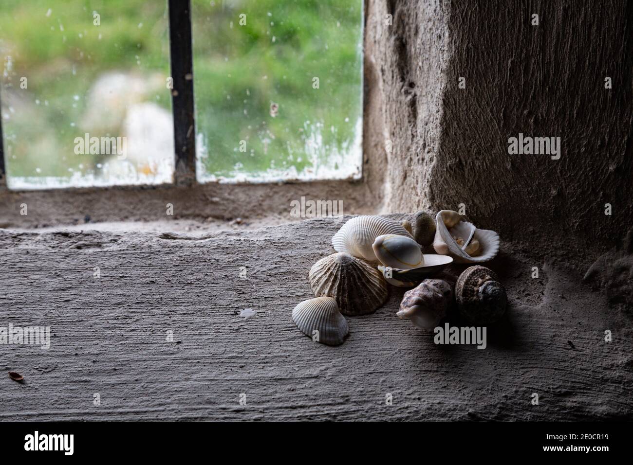 Sea shells on the window sill of St Cwyfan’s Church, Anglesey, North ...