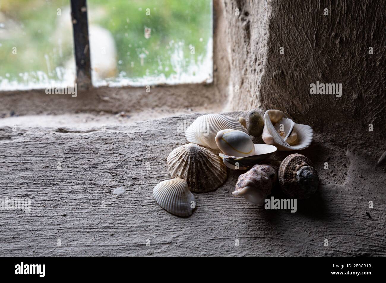 Sea shells on the window sill of St Cwyfan’s Church, Anglesey, North ...
