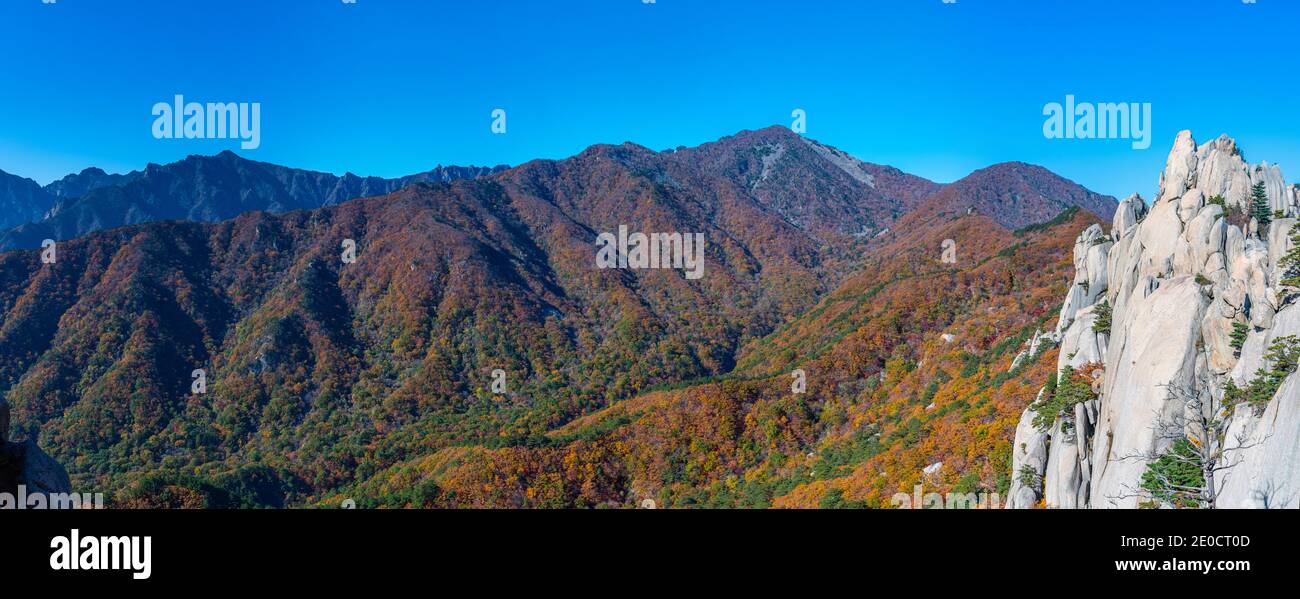 Colorful trees at seoraksan national park during autumn in Republic of ...