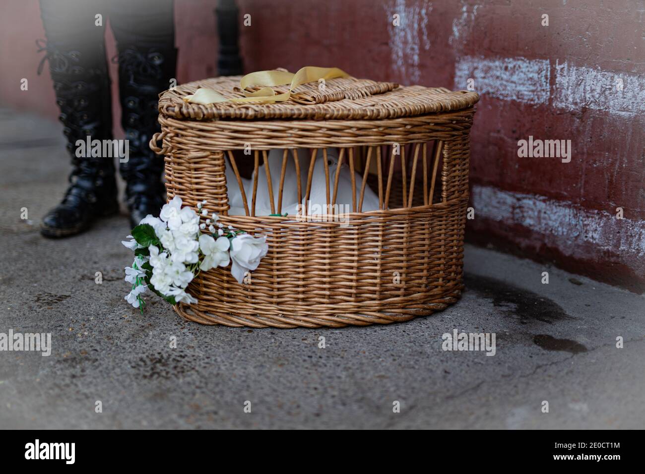 Funeral bird hi-res stock photography and images - Alamy