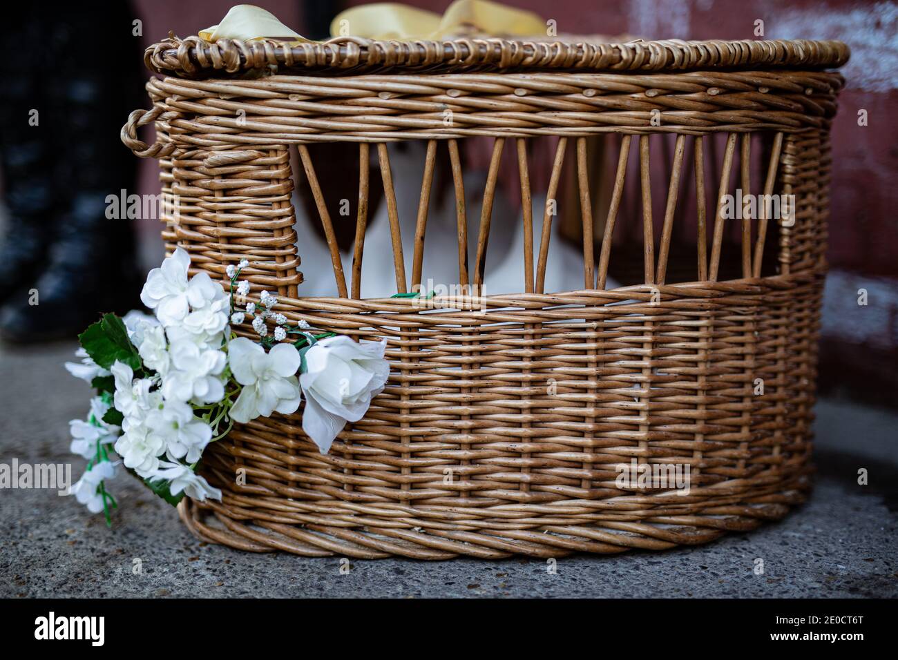 Funeral bird hi-res stock photography and images - Alamy