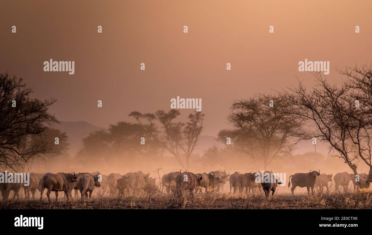 Ethiopia Omo Valley Scenic High Resolution Stock Photography and Images ...