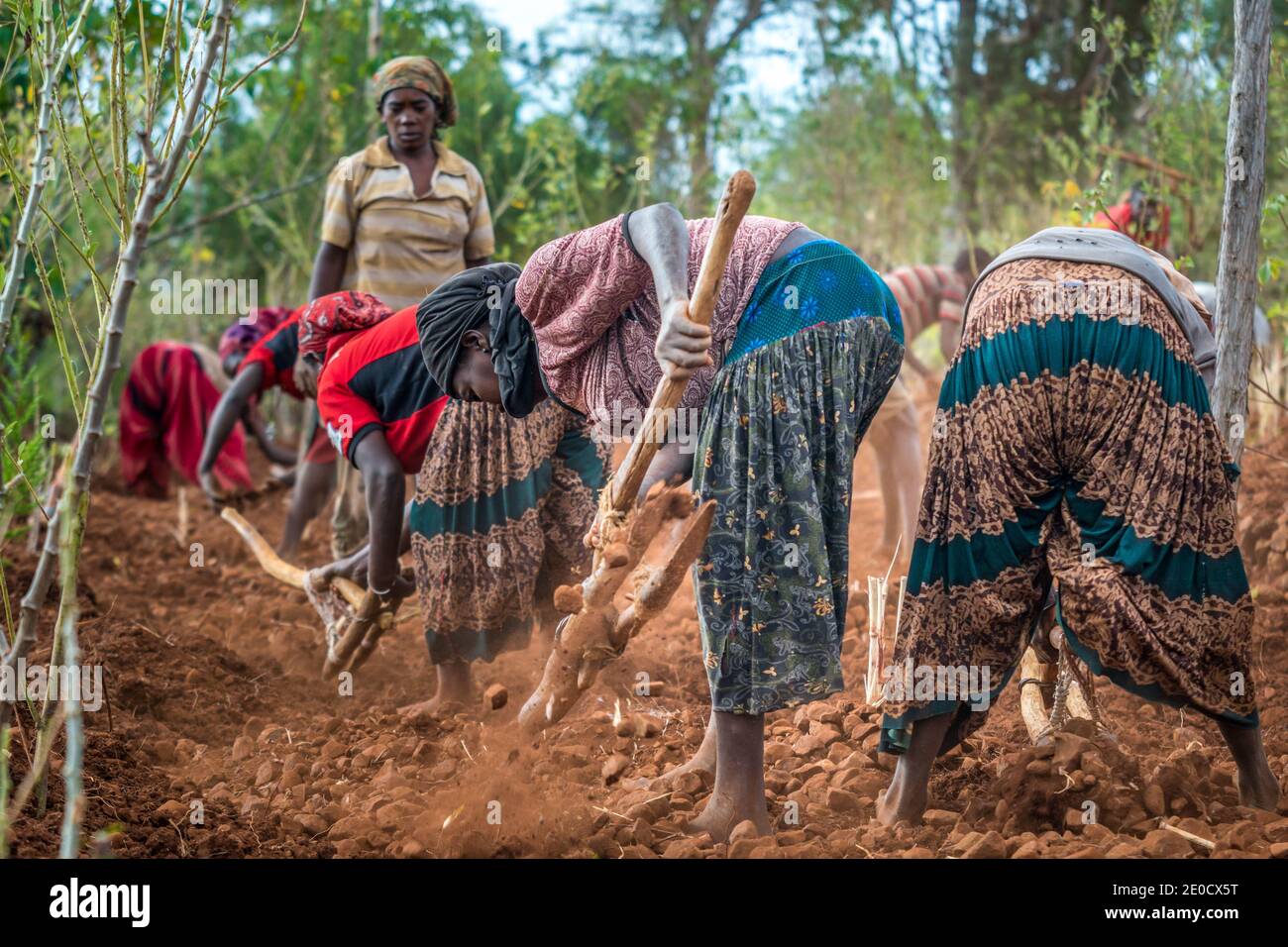 Konso culture hi-res stock photography and images - Alamy