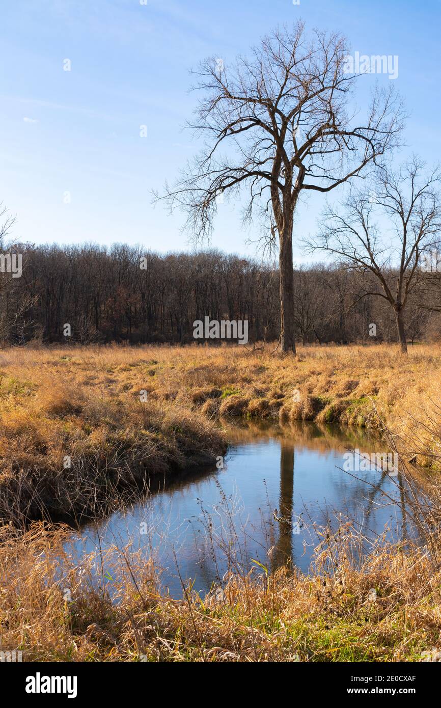 Midwest countryside on a beautiful Autumn morning Stock Photo - Alamy