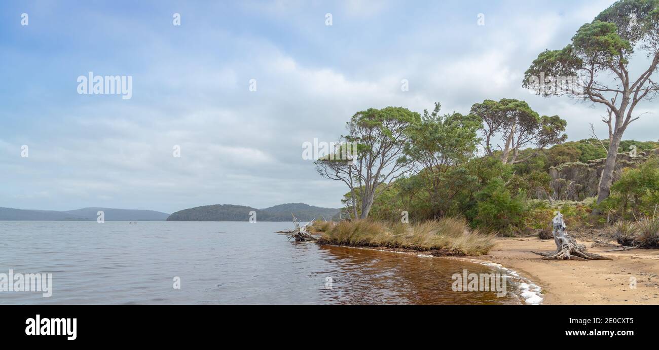 The beautiful Coalmine Beach in the Nornalup Inlet close to Walpole in ...