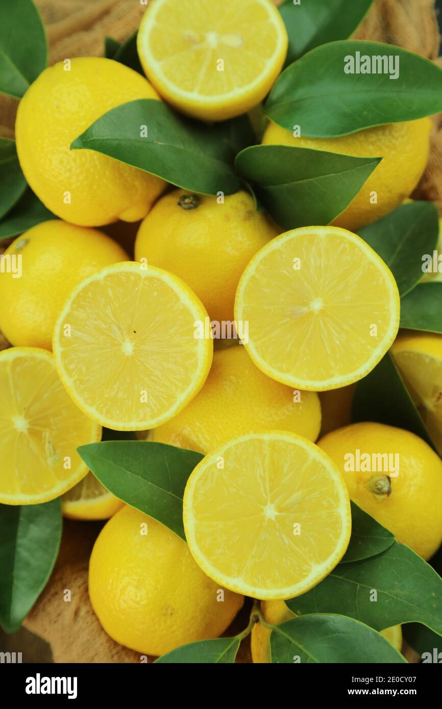 Group of lemons with leaves, isolated on background Stock Photo - Alamy